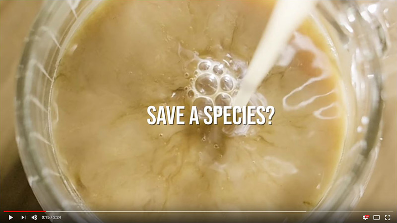 Home - Tree Kangaroo Conservation Program