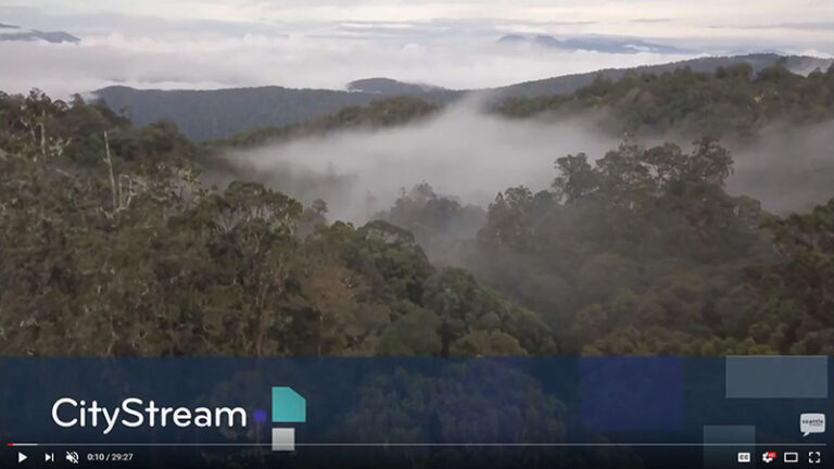 Home - Tree Kangaroo Conservation Program